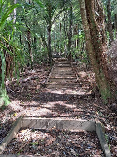 Best Hikes and Trails in Dome Forest Conservation Area | AllTrails