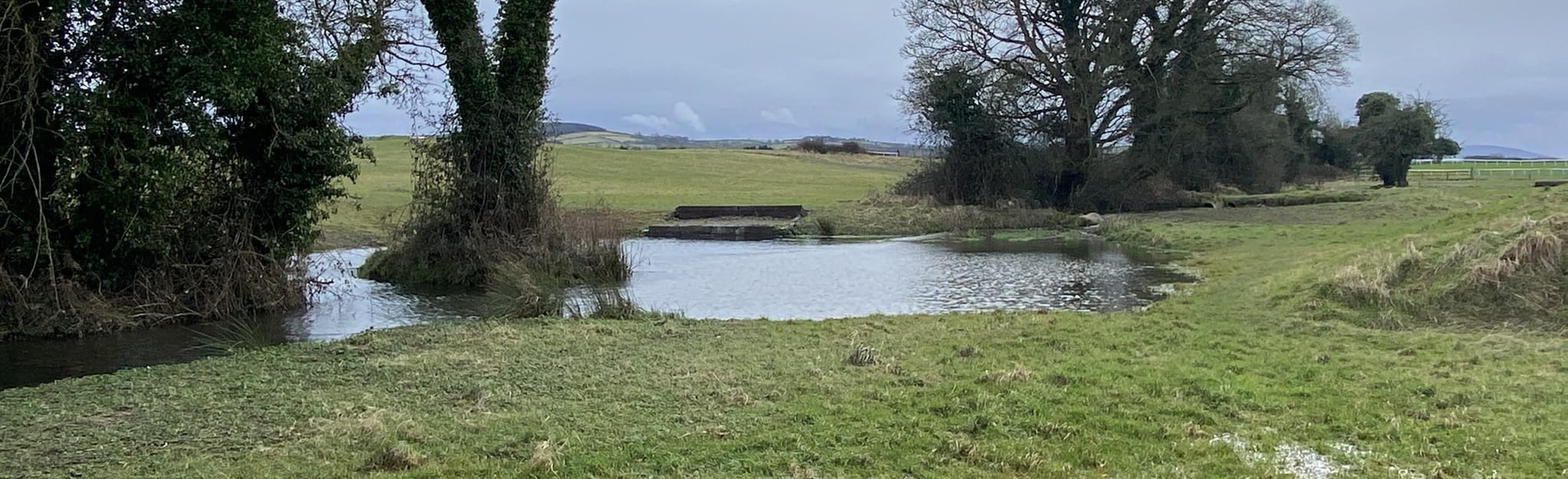 Punchestown Cross Country Loop, County Kildare, Ireland - 8 Reviews ...