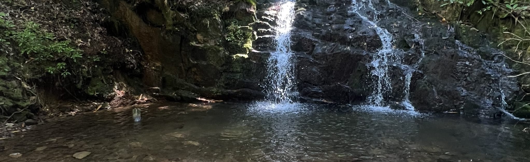 Martin’s Creek Falls: 676 Reviews, Map - Tennessee | AllTrails