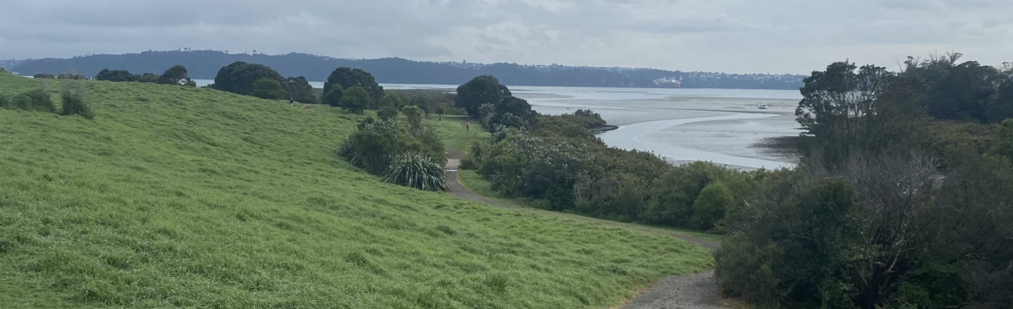 Meola Reef Path: 9 Reviews, Map - Auckland, New Zealand | AllTrails