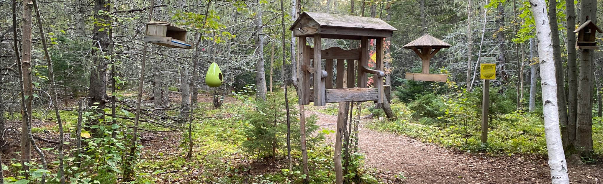 Youghall Trail, New Brunswick, Canada - 21 Reviews, Map | AllTrails