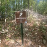 The Pinnacle, Pennsylvania - 558 Reviews, Map | AllTrails