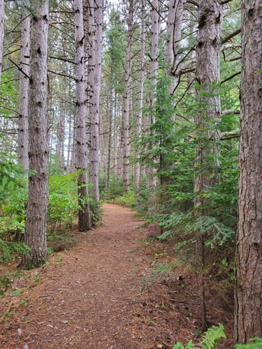Best Hikes and Trails in Turtle-Flambeau Scenic Waters Area | AllTrails