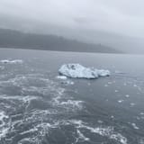Portage Creek: Trail of Blue Ice, Alaska - 213 Reviews, Map | AllTrails