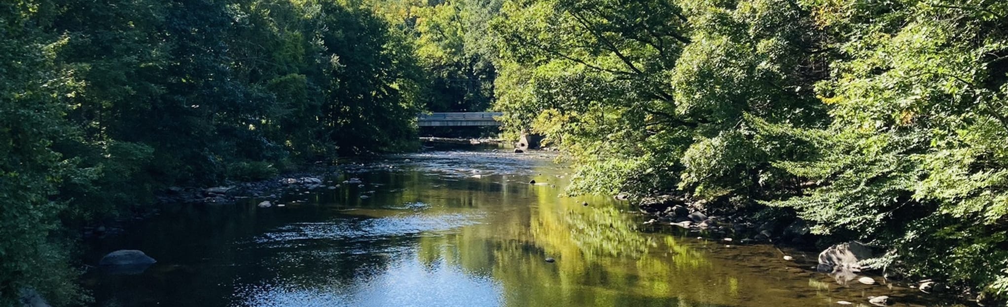 Memorial Bridge and Thoreau Bridge via Bee Brook, Presidents Loop: 409 ...