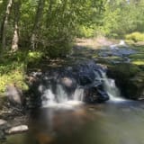 Thunder Swamp Trail, Pennsylvania - 51 Reviews, Map | AllTrails