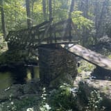 Thunder Swamp Trail, Pennsylvania - 48 Reviews, Map | AllTrails