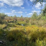 Thunder Swamp Trail, Pennsylvania - 51 Reviews, Map | AllTrails
