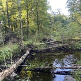 Thunder Swamp Trail, Pennsylvania - 51 Reviews, Map | AllTrails