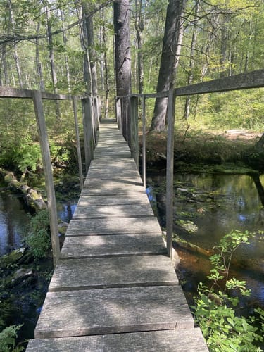 Best 10 Hikes and Trails in Delaware State Forest | AllTrails