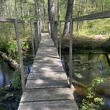 Thunder Swamp Trail, Pennsylvania - 51 Reviews, Map | AllTrails