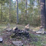Thunder Swamp Trail, Pennsylvania - 54 Reviews, Map | AllTrails