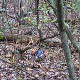 Thunder Swamp Trail, Pennsylvania - 54 Reviews, Map | AllTrails