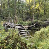 Thunder Swamp Trail, Pennsylvania - 51 Reviews, Map | AllTrails