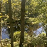 Thunder Swamp Trail, Pennsylvania - 51 Reviews, Map | AllTrails