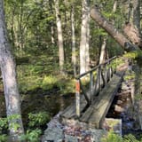 Thunder Swamp Trail, Pennsylvania - 51 Reviews, Map | AllTrails