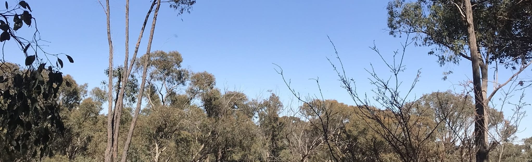 Kalimna North Circuit, Victoria, Australia - 42 Reviews, Map | AllTrails