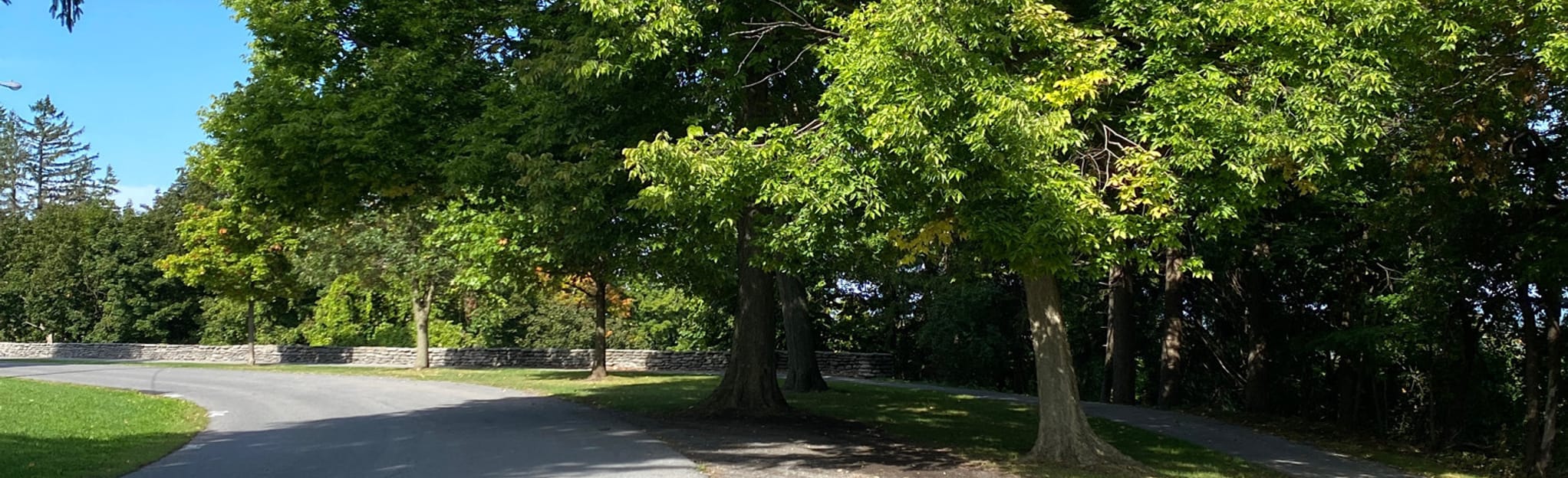 Thompson Park Trails, New York - 325 Reviews, Map | AllTrails