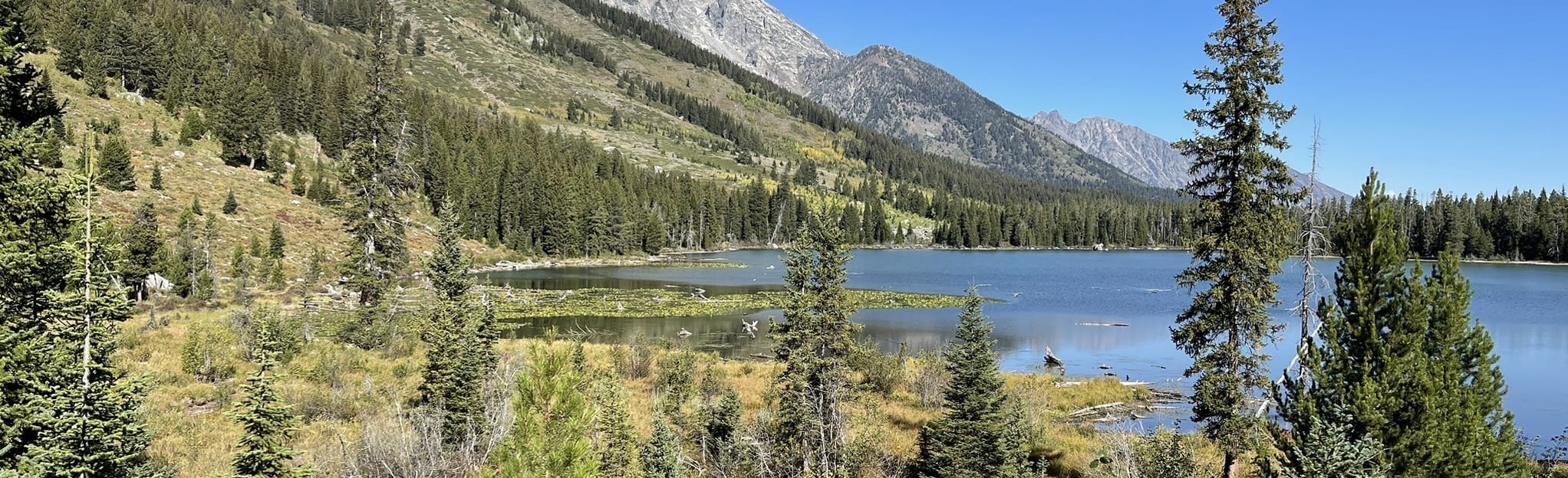 Paintbrush Canyon & String Lake Loop Trail to Lake Solitude: 156 ...