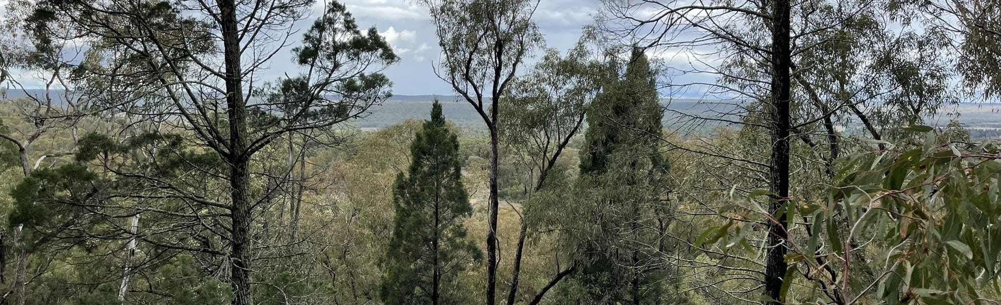 Sandstone Caves Circuit: 49 Reviews, Map - New South Wales, Australia ...