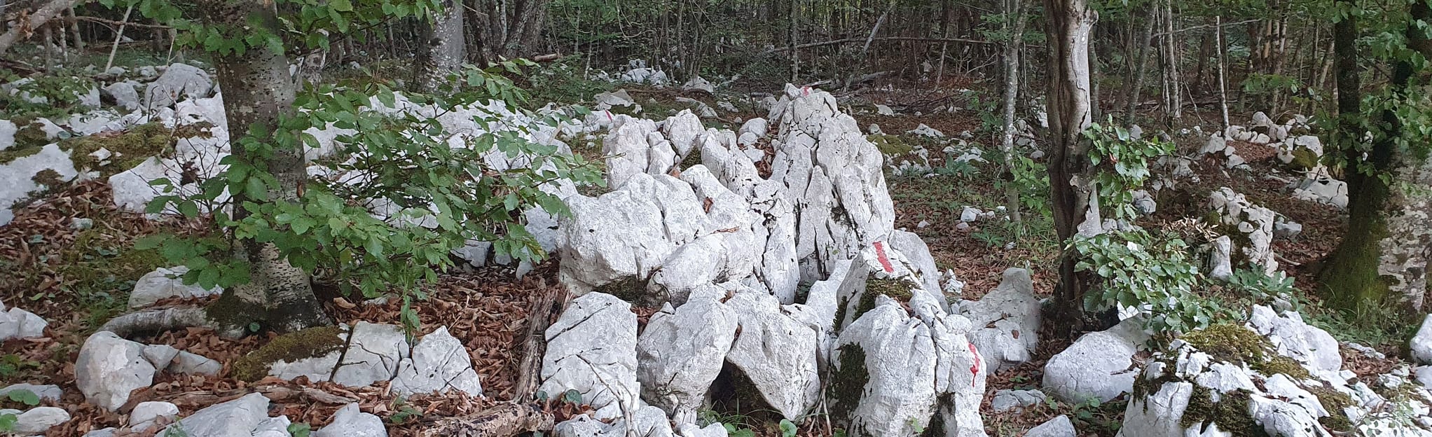 Skednena jama Caves, Logatec, Slovenia - 4 Reviews, Map | AllTrails