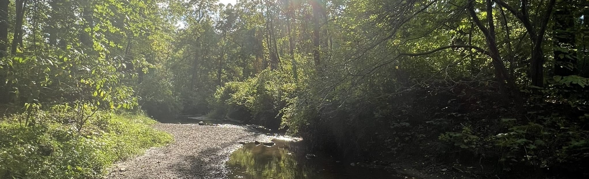 Gully Brook Valley Trail, Ohio - 316 Reviews, Map | AllTrails