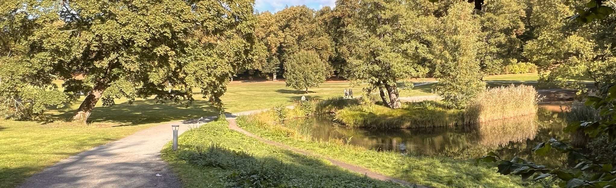 Zinkensdamm - Hagaparken: 145 foto's - Stockholms län, Zweden | AllTrails