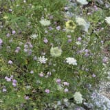 Engineer Fitness Running Trail, Missouri - 393 Reviews, Map | AllTrails