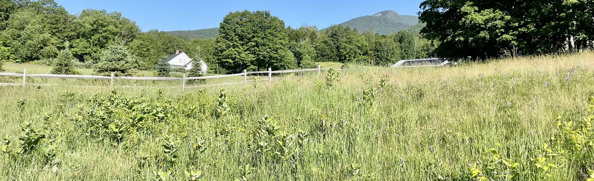 Mt Passaconaway Loop via Mt.Wonalancet and Hibbard Mountain: 65 Reviews ...