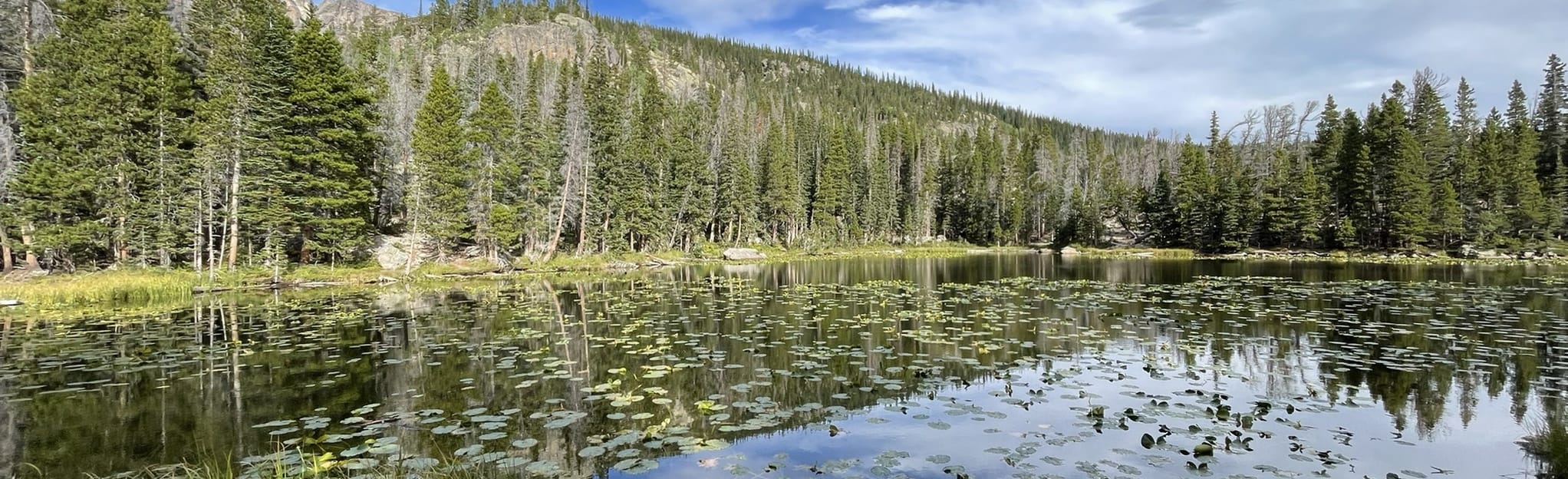 Bear, Nymph, Dream, and Emerald Lake via Bear Lake and Nymph Lake Trail ...