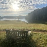 W. Kerr Scott Reservoir, North Carolina - 59 Reviews, Map | AllTrails