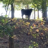 Bartram Trail: West Dam Recreation Area to Washington Road, South ...
