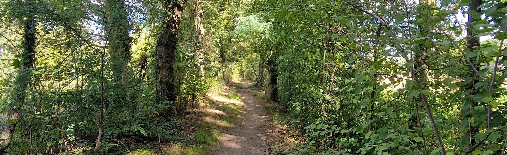 Landgoed De Poll, Gelderland, Netherlands - 12 Reviews, Map | AllTrails