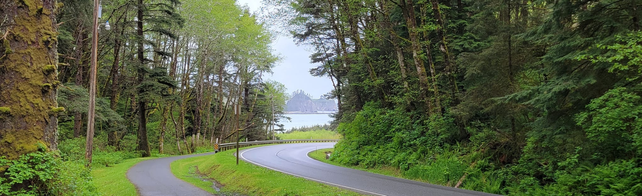 Second Beach: 891 fotos - Washington | AllTrails