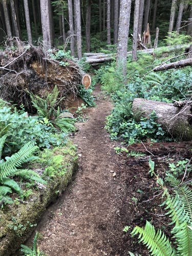 Best Hikes and Trails in Marble River Provincial Park | AllTrails