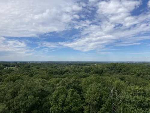 Best Hikes and Trails in Ferdinand State Forest | AllTrails