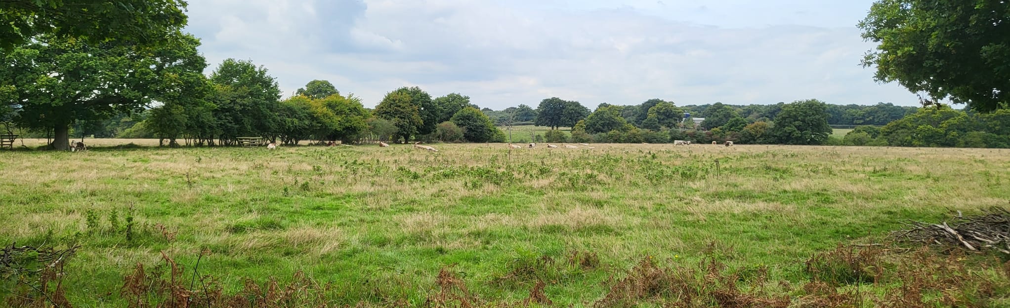 Dial Post - Shipley Circular, West Sussex, England - 164 Reviews, Map ...