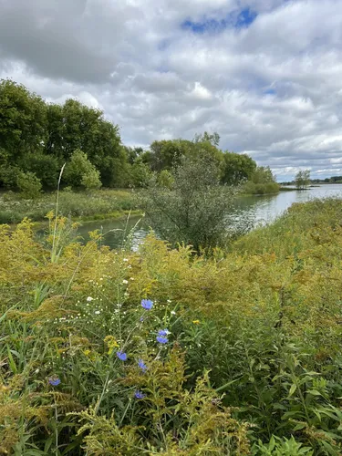 Best Hikes and Trails in Francis Motz County Park | AllTrails