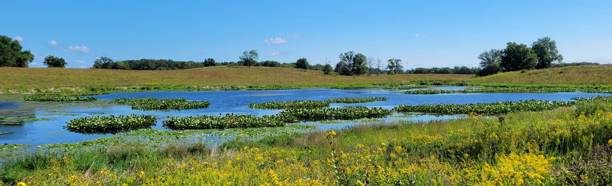 Pine Dunes Trail: 189 Reviews, Map - Illinois | AllTrails