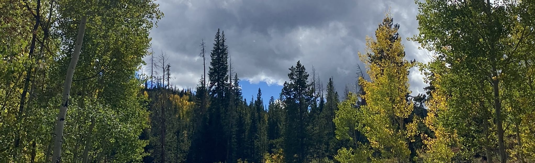 Salt Lick Trail Loop: 78 Reviews, Map - Colorado | AllTrails