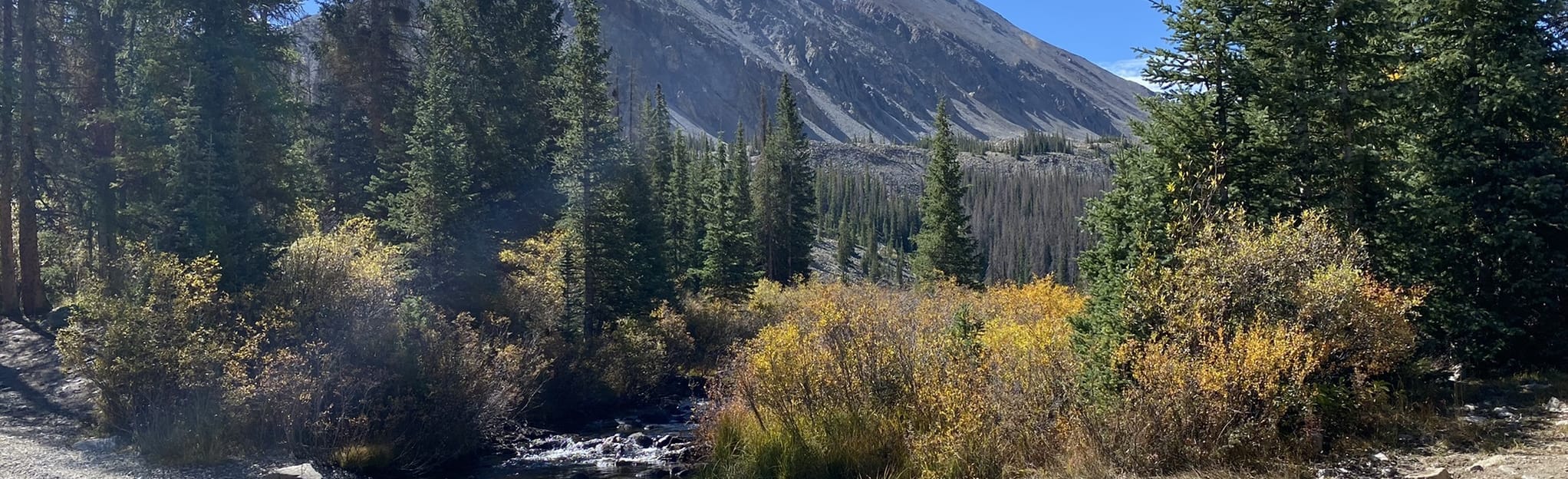 Baldwin Lakes Trail: 41 Reviews, Map - Colorado | AllTrails