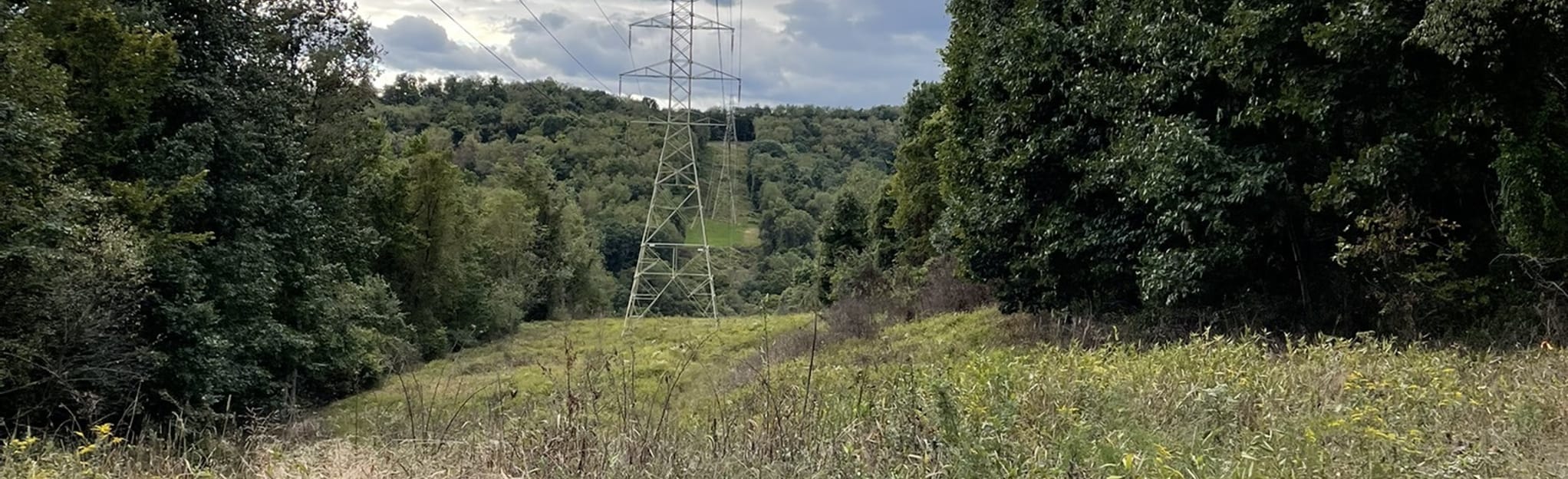 Rachel Carson Trail: Crawford Run to Bull Creek, Pennsylvania - 98 ...