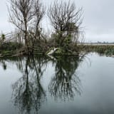 Lake Wendouree, Victoria, Australia - 346 Reviews, Map | AllTrails