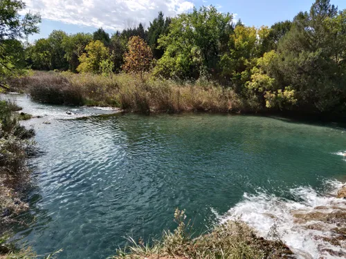 Best Forest Trails in Hot Springs | AllTrails