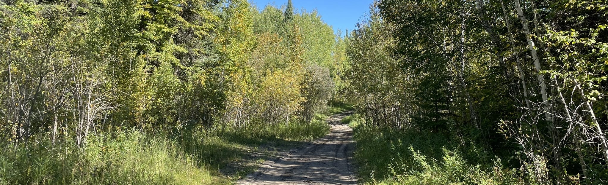 Coca Cola Falls: 92 Fotos - Manitoba, Kanada | AllTrails