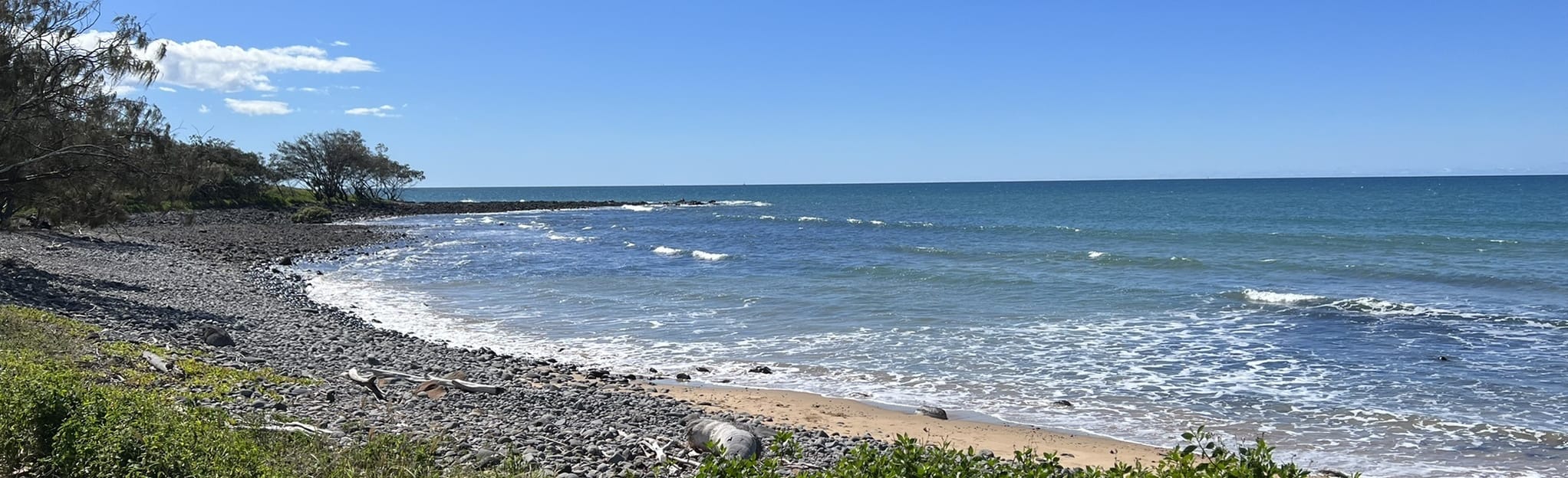 Mon Repos Turtle Trail, Queensland, Australia - 76 Reviews, Map | AllTrails