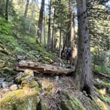 Lake Constance Trail, Washington - 227 Reviews, Map | AllTrails