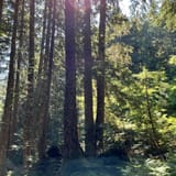 Lake Constance Trail, Washington - 227 Reviews, Map | AllTrails
