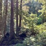 Lake Constance Trail, Washington - 227 Reviews, Map | AllTrails