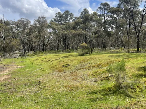 10 Best Hikes and Trails in Greater Bendigo National Park | AllTrails